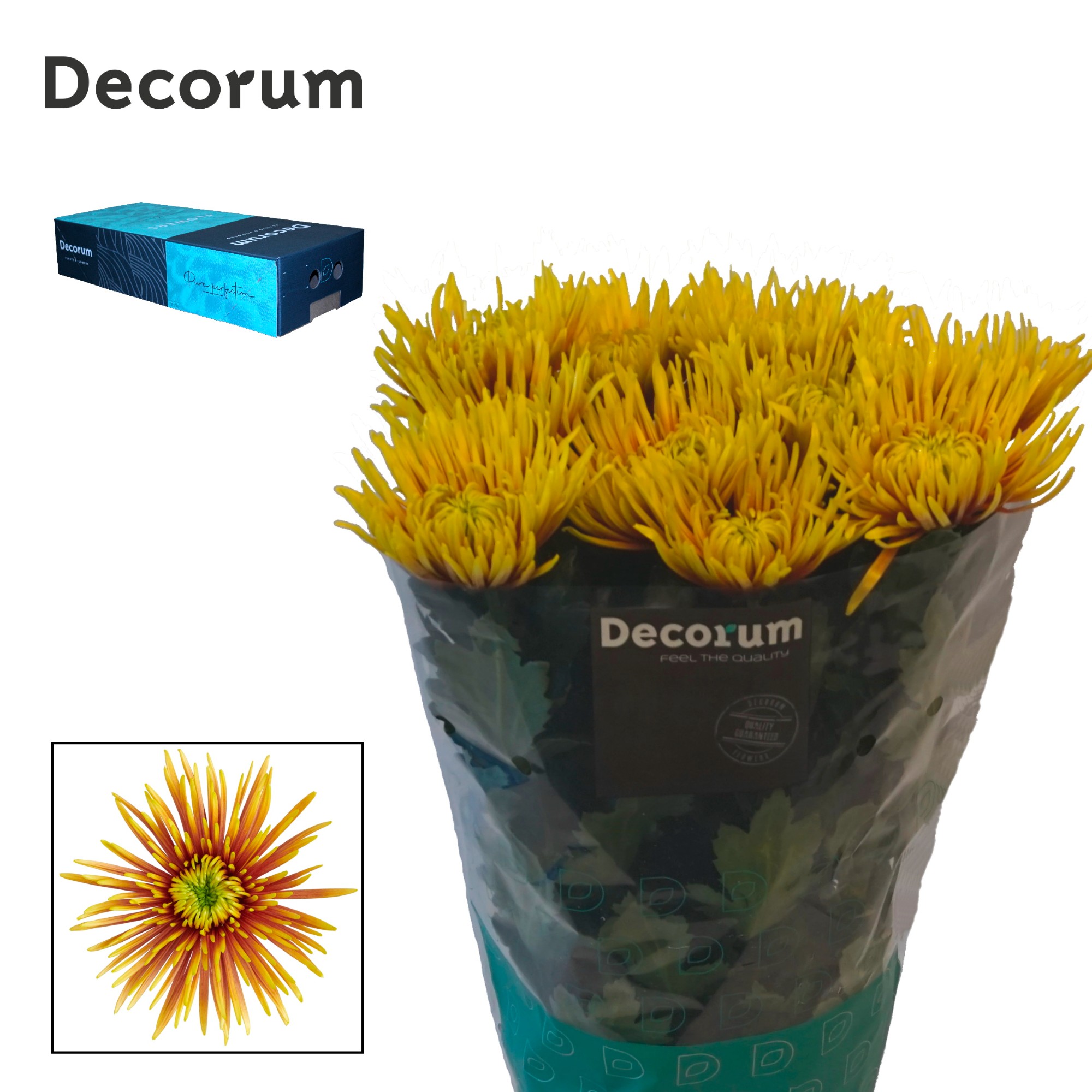 Цветочная культура