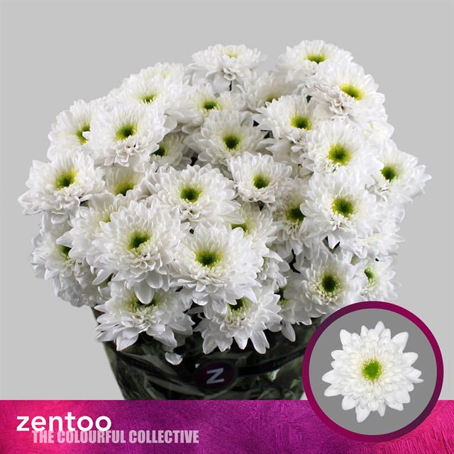 Цветочная культура