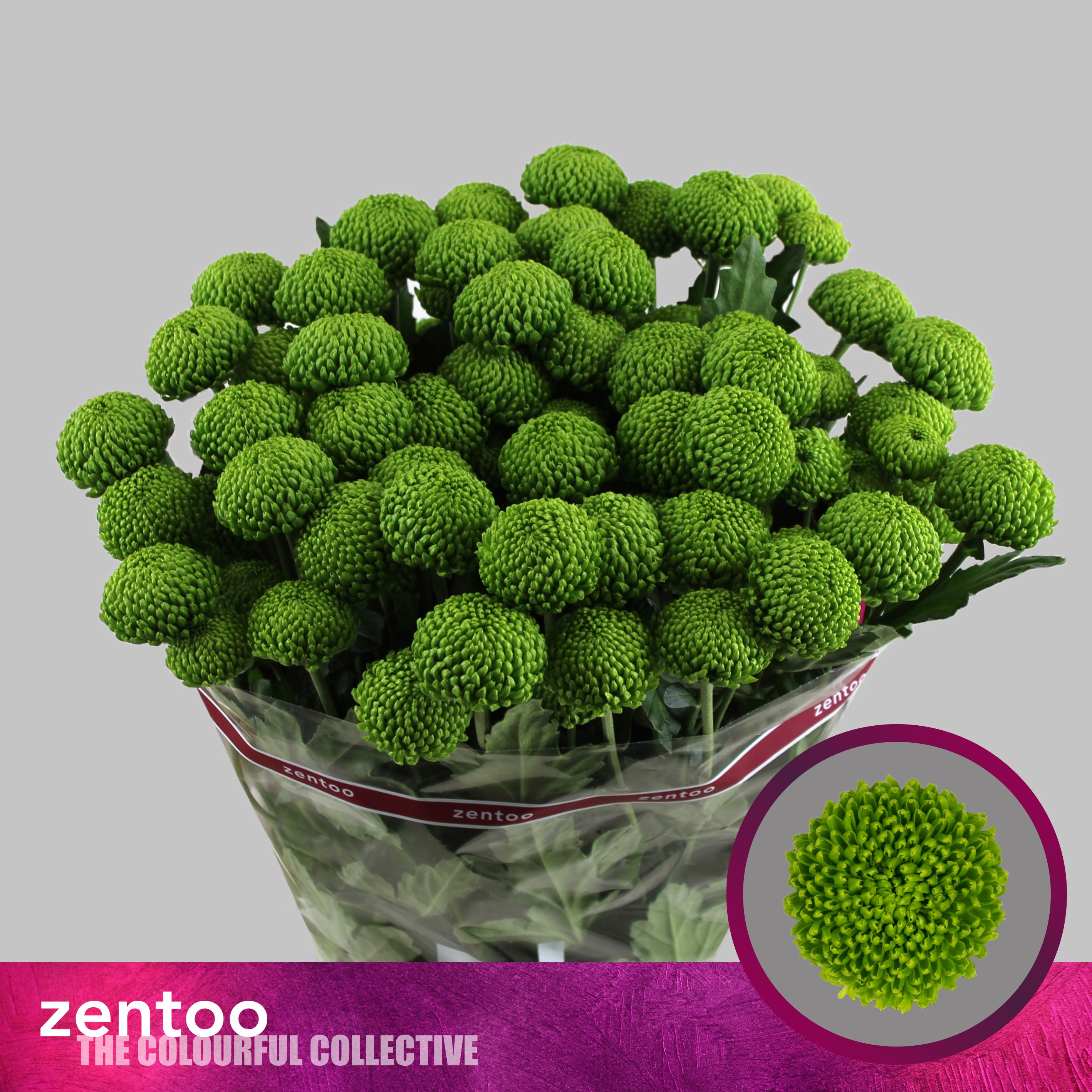 Цветочная культура