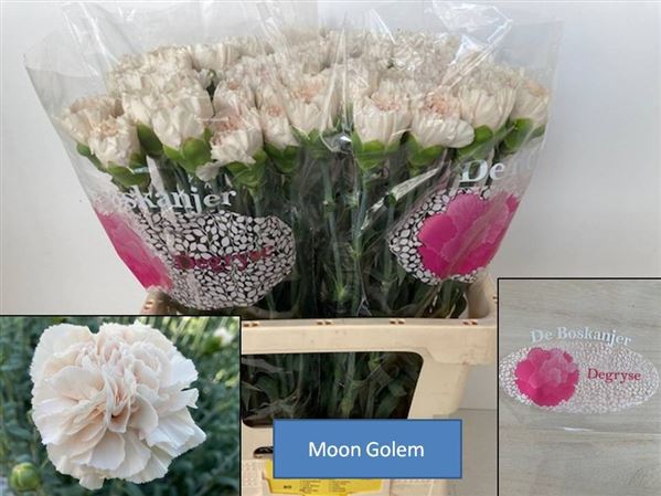 Цветочная культура