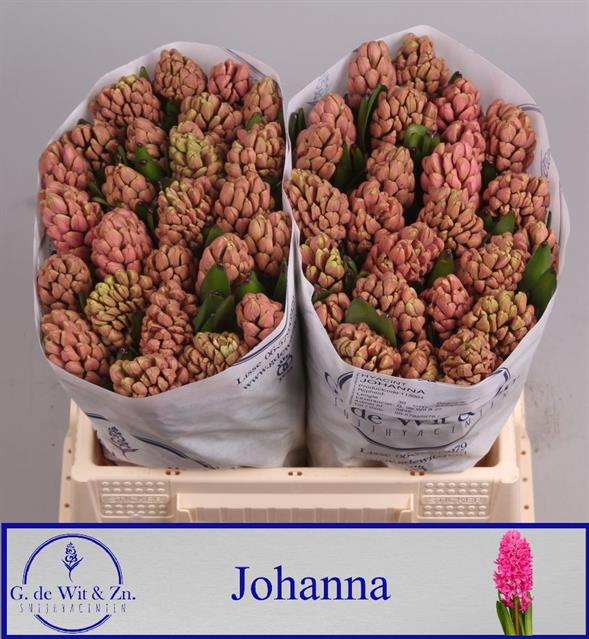 Цветочная культура