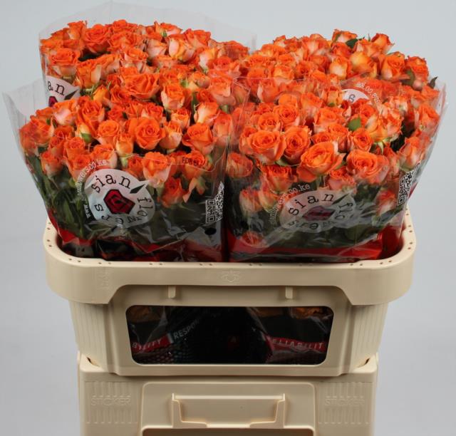 Цветочная культура