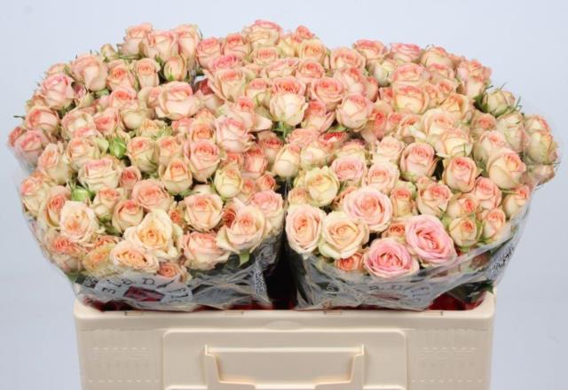 Цветочная культура