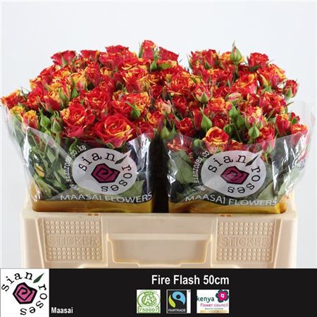 Цветочная культура