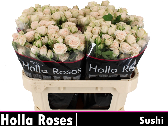 Цветочная культура