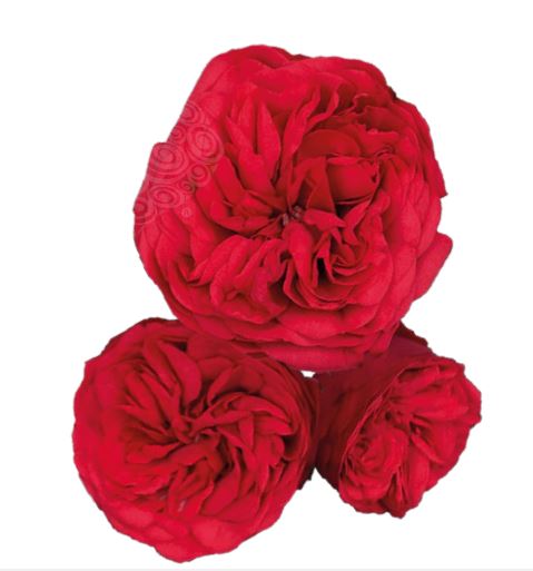 Цветочная культура