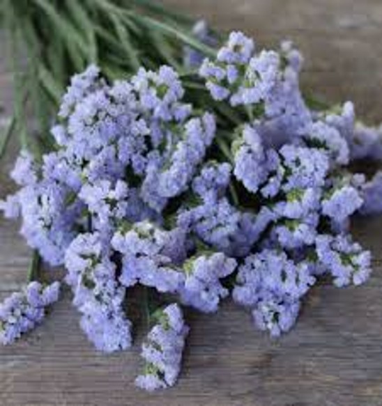 Цветочная культура